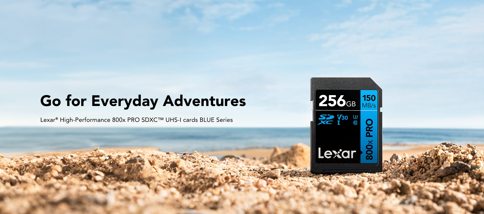 Lexar High-Performance 800x PRO SDHC/SDXC UHS-I Card BLUE Series ...